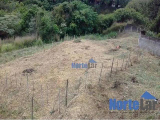 Terreno / Lote para Venda em São Paulo/SP Cidade D'Abril