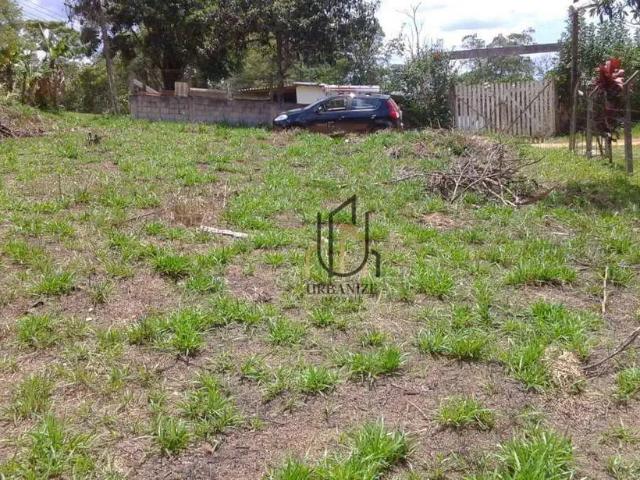 Terreno / Lote para Venda em São Paulo/SP Cidade Luz