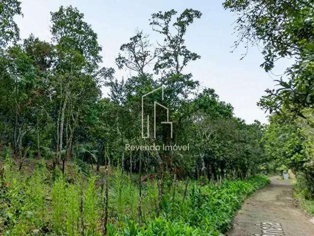 Terreno / Lote para Venda em São Paulo/SP Cidade Luz
