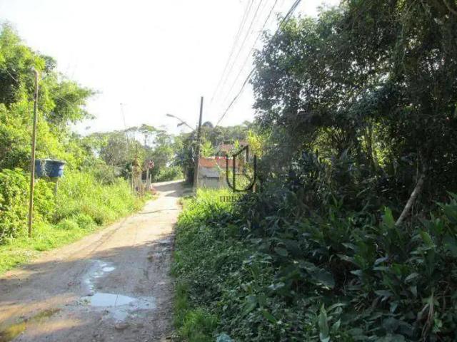 Terreno / Lote para Venda em São Paulo/SP Cidade Luz