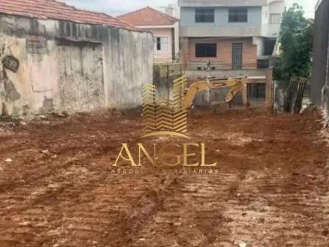 Terreno / Lote para Venda em São Paulo/SP Cidade Mãe do Céu