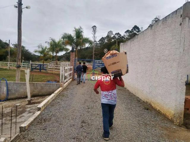 Terreno / Lote para Venda em São Paulo/SP Cidade Mãe do Céu