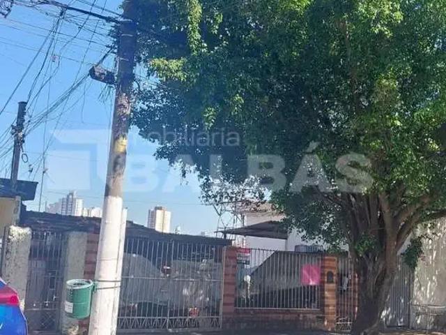Terreno / Lote para Venda em São Paulo/SP Cidade Mãe do Céu