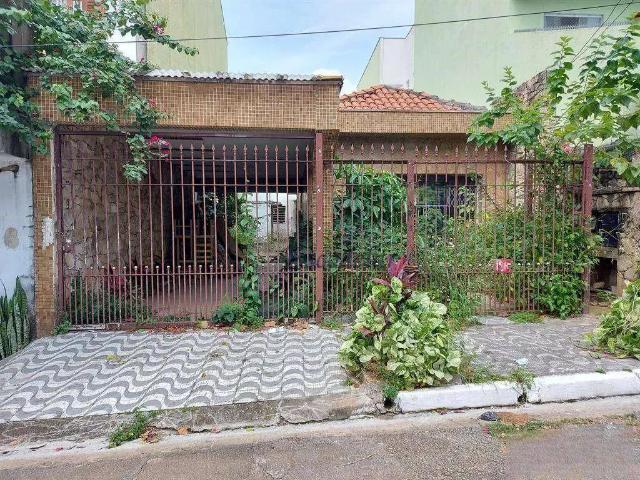 Terreno / Lote para Venda em São Paulo/SP Cidade Mãe do Céu