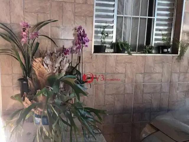 Terreno / Lote para Venda em São Paulo/SP Cidade Patriarca