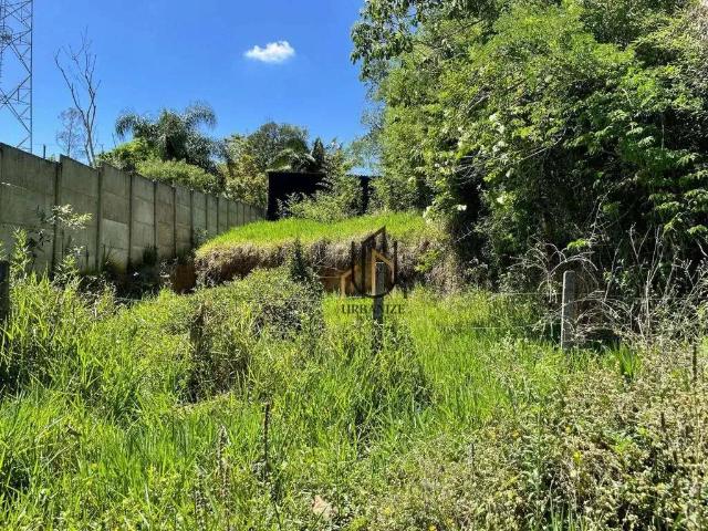 Terreno / Lote para Venda em São Paulo/SP Cipó do Meio
