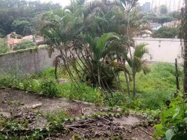 Terreno / Lote para Venda em São Paulo/SP City América