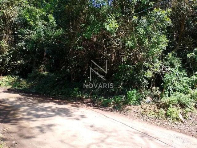 Terreno / Lote para Venda em São Paulo/SP Colônia Zona Sul