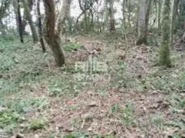 Terreno / Lote para Venda em São Paulo/SP Copacabana