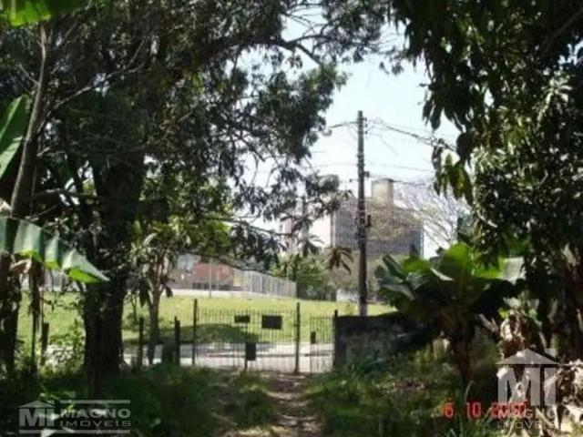 Terreno / Lote para Venda em São Paulo/SP Ermelino Matarazzo