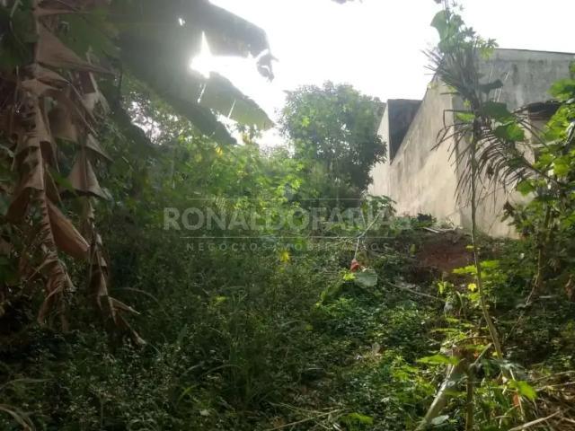 Terreno / Lote para Venda em São Paulo/SP Grajaú
