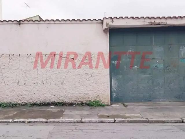 Terreno / Lote para Venda em São Paulo/SP Horto Florestal