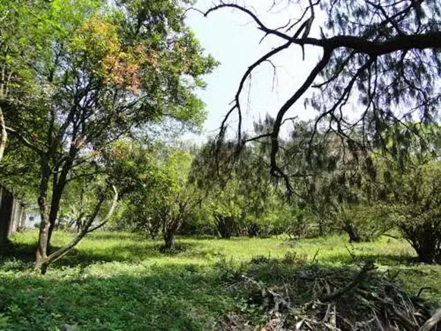Terreno / Lote para Venda em São Paulo/SP Horto Florestal