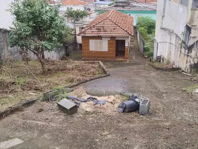 Terreno / Lote para Venda em São Paulo/SP Horto Florestal