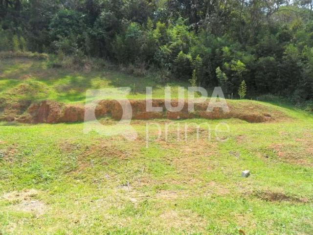 Terreno / Lote para Venda em São Paulo/SP Horto Florestal