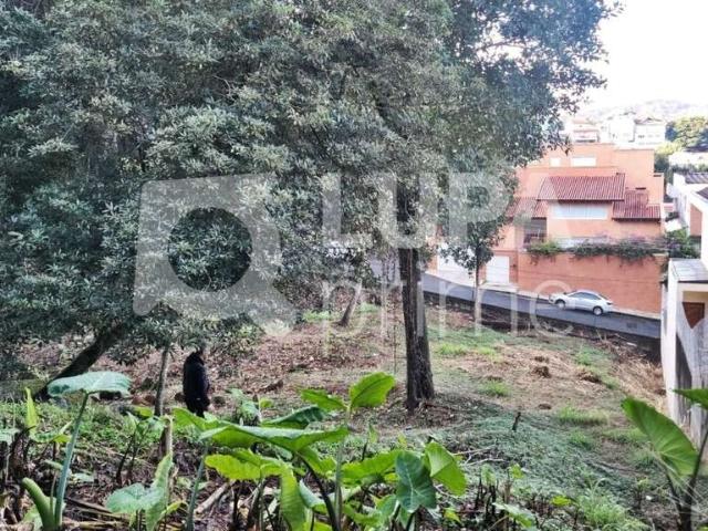 Terreno / Lote para Venda em São Paulo/SP Horto Florestal