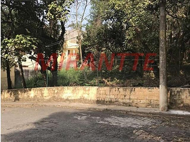 Terreno / Lote para Venda em São Paulo/SP Horto Florestal