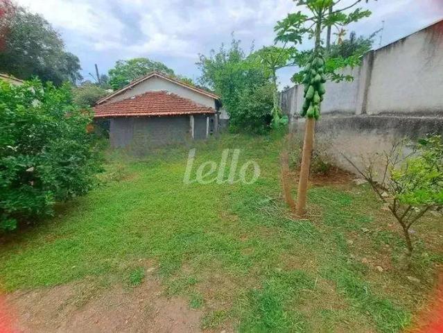 Terreno / Lote para Venda em São Paulo/SP Horto Florestal 2 Quartos