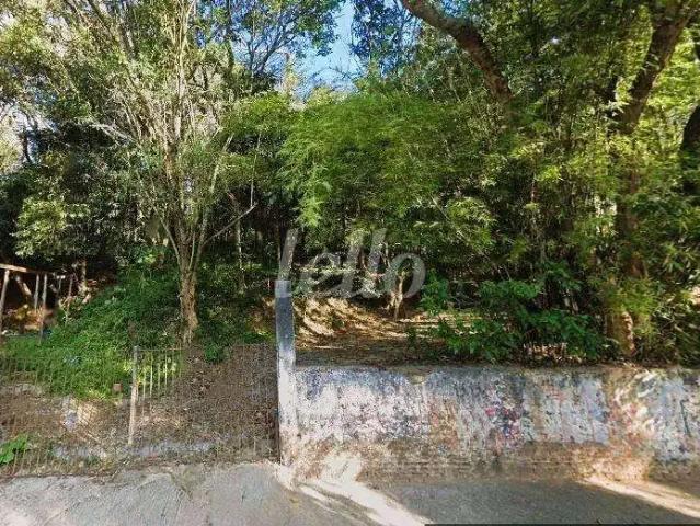 Terreno / Lote para Venda em São Paulo/SP Horto Florestal