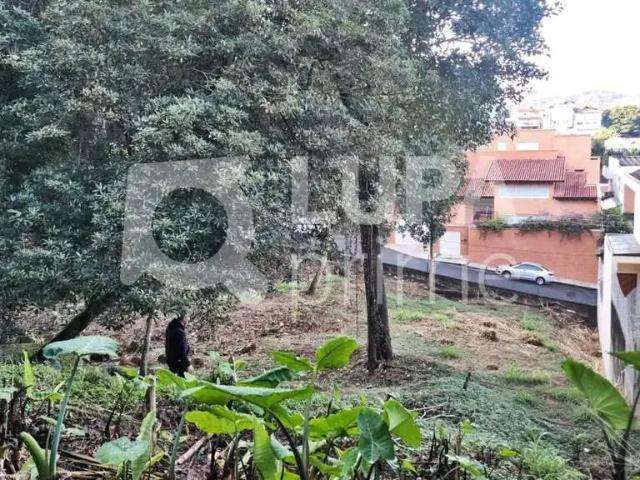 Terreno / Lote para Venda em São Paulo/SP Horto Florestal