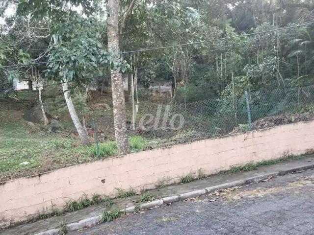 Terreno / Lote para Venda em São Paulo/SP Horto Florestal