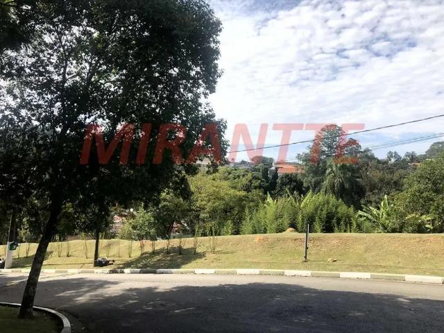 Terreno / Lote para Venda em São Paulo/SP Horto Florestal