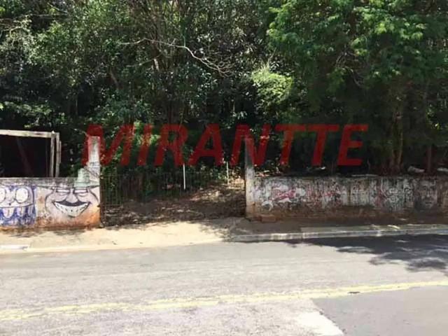 Terreno / Lote para Venda em São Paulo/SP Horto Florestal
