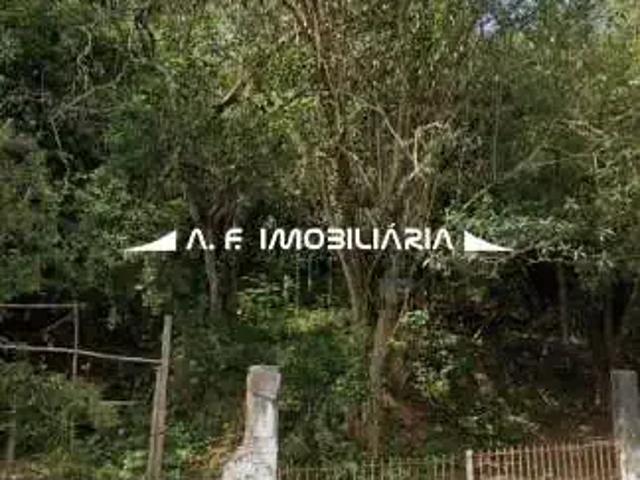 Terreno / Lote para Venda em São Paulo/SP Horto Florestal
