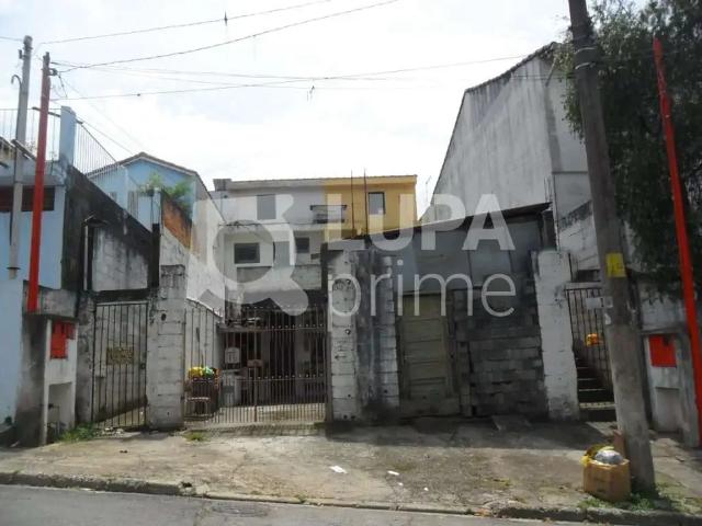 Terreno / Lote para Venda em São Paulo/SP Horto Florestal