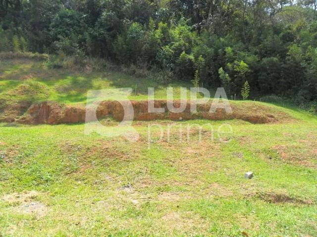 Terreno / Lote para Venda em São Paulo/SP Horto Florestal