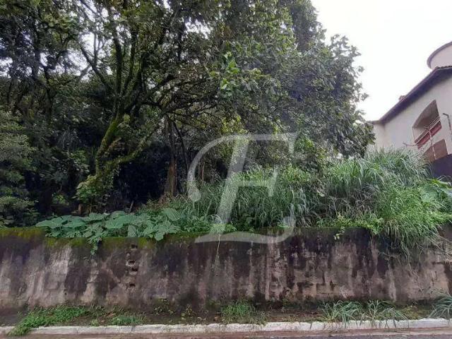 Terreno / Lote para Venda em São Paulo/SP Horto Florestal