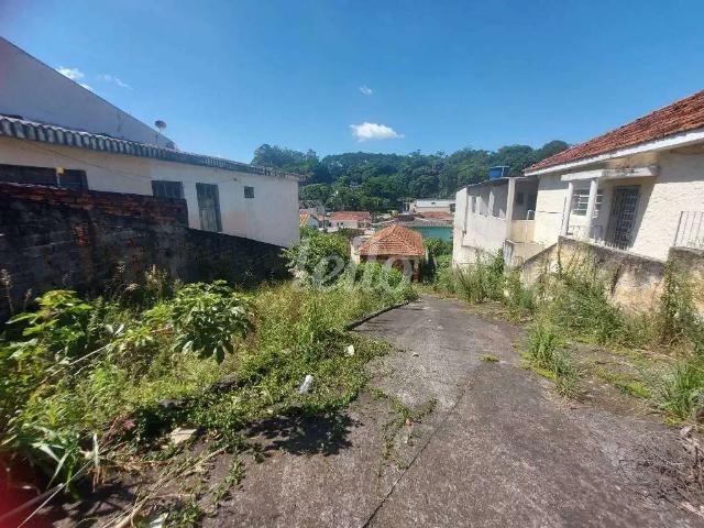 Terreno / Lote para Venda em São Paulo/SP Horto Florestal
