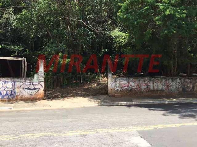 Terreno / Lote para Venda em São Paulo/SP Horto Florestal