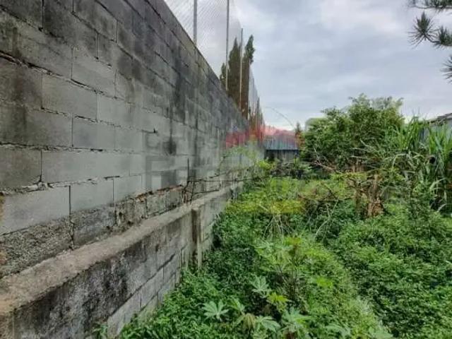 Terreno / Lote para Venda em São Paulo/SP Horto Florestal
