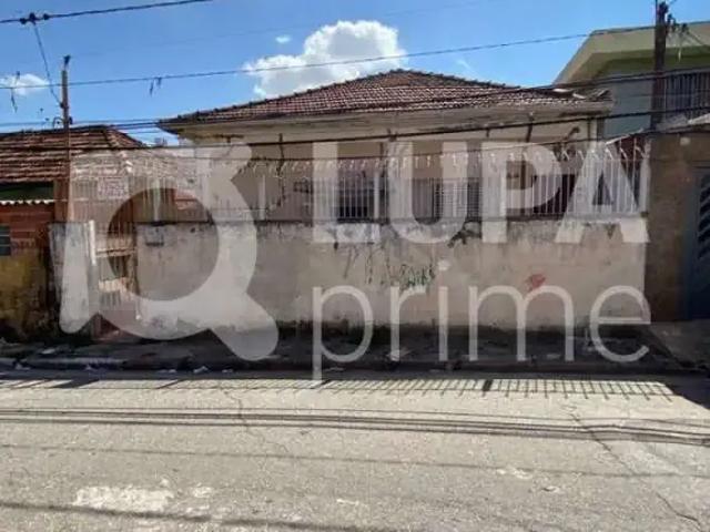 Terreno / Lote para Venda em São Paulo/SP Imirim