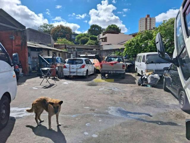 Terreno / Lote para Venda em São Paulo/SP Imirim
