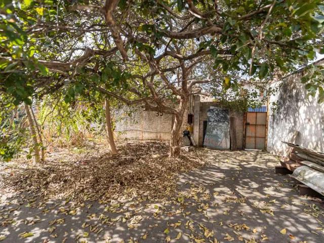 Terreno / Lote para Venda em São Paulo/SP Indianópolis