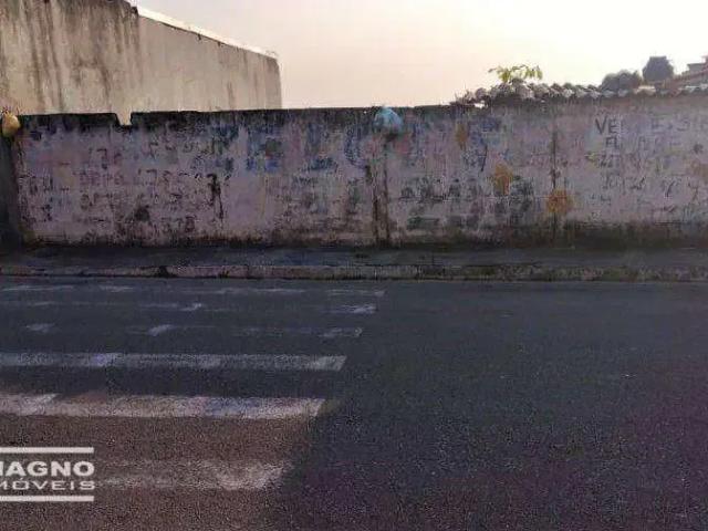 Terreno / Lote para Venda em São Paulo/SP Itaim Paulista