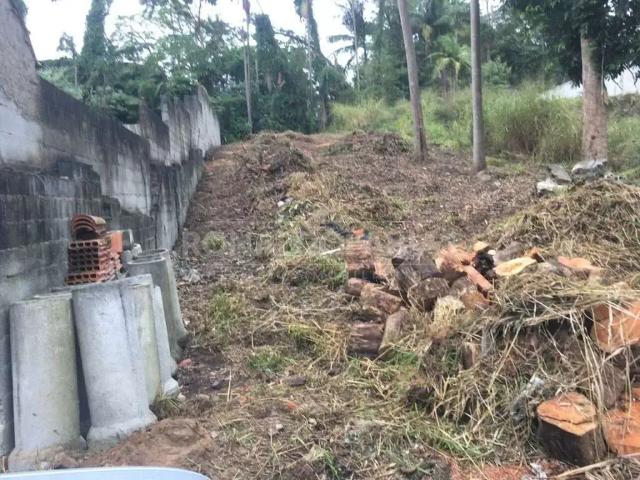 Terreno / Lote para Venda em São Paulo/SP Itupu