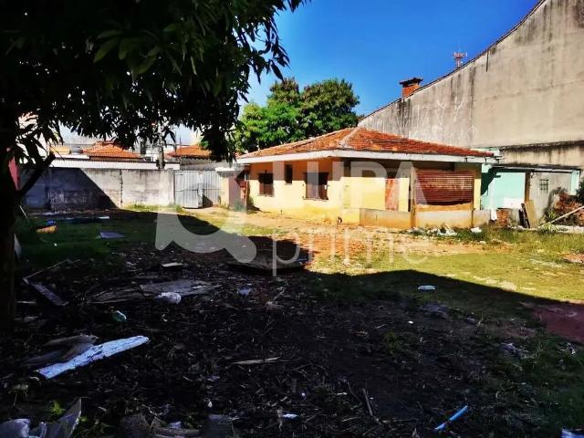 Terreno / Lote para Venda em São Paulo/SP Jaçanã