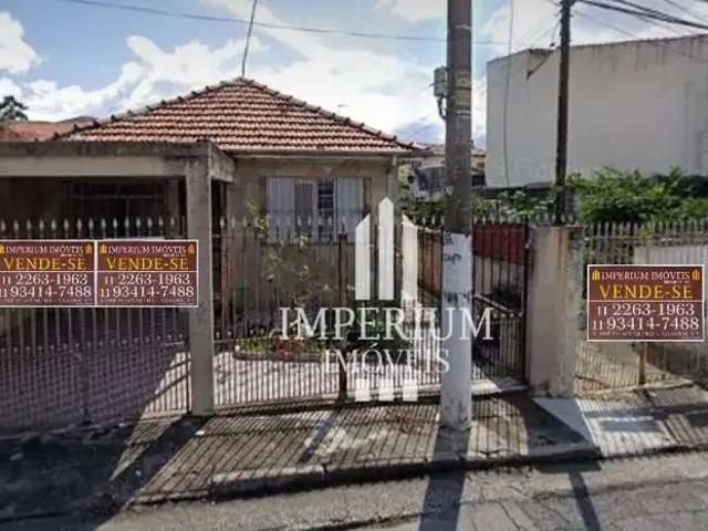 Terreno / Lote para Venda em São Paulo/SP Jaçanã