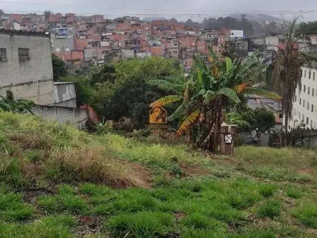 Terreno / Lote para Venda em São Paulo/SP Jaraguá