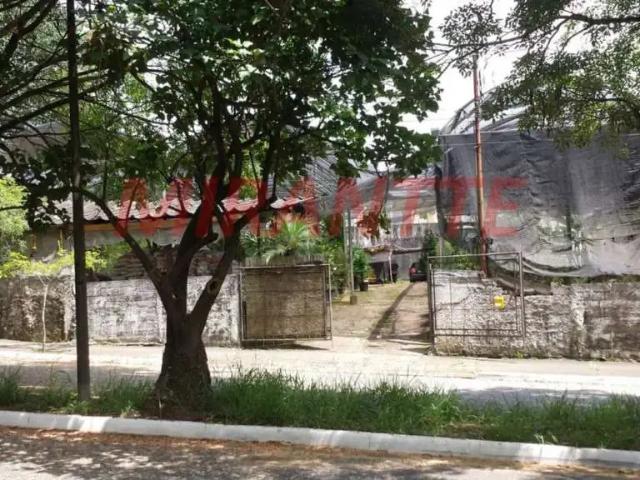 Terreno / Lote para Venda em São Paulo/SP Jardim Cordeiro