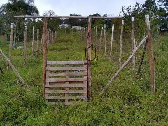 Terreno / Lote para Venda em São Paulo/SP Jardim Casa Grande