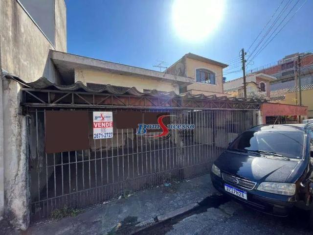 Terreno / Lote para Venda em São Paulo/SP Vila Santo Estevão