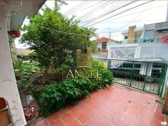 Terreno / Lote para Venda em São Paulo/SP Jardim Anália Franco
