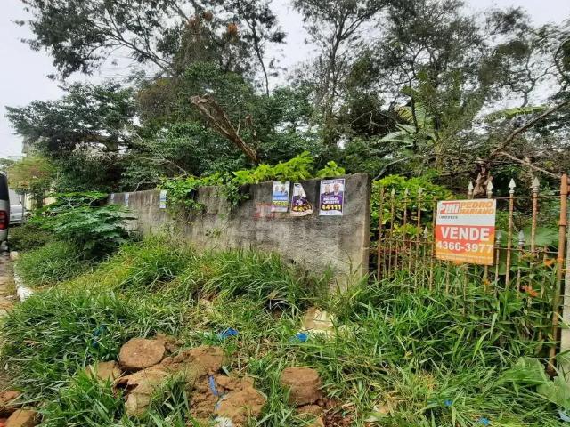 Terreno / Lote para Venda em São Paulo/SP Jardim Bandeirantes
