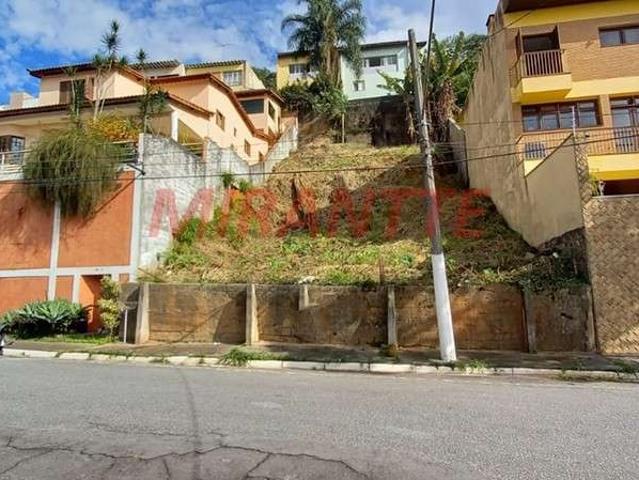 Terreno / Lote para Venda em São Paulo/SP Jardim Bibi