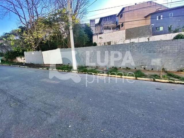 Terreno / Lote para Venda em São Paulo/SP Jardim Guapira