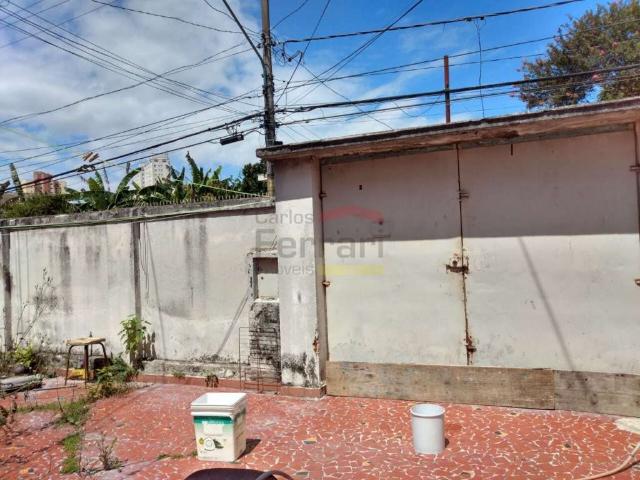 Terreno / Lote para Venda em São Paulo/SP Jardim do Colégio